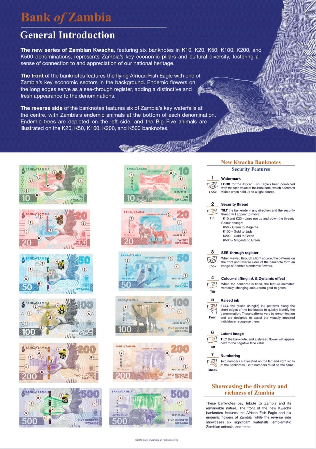 Bank Of Zambia Unveils New Currency Family To Be Launched On March 31 ...
